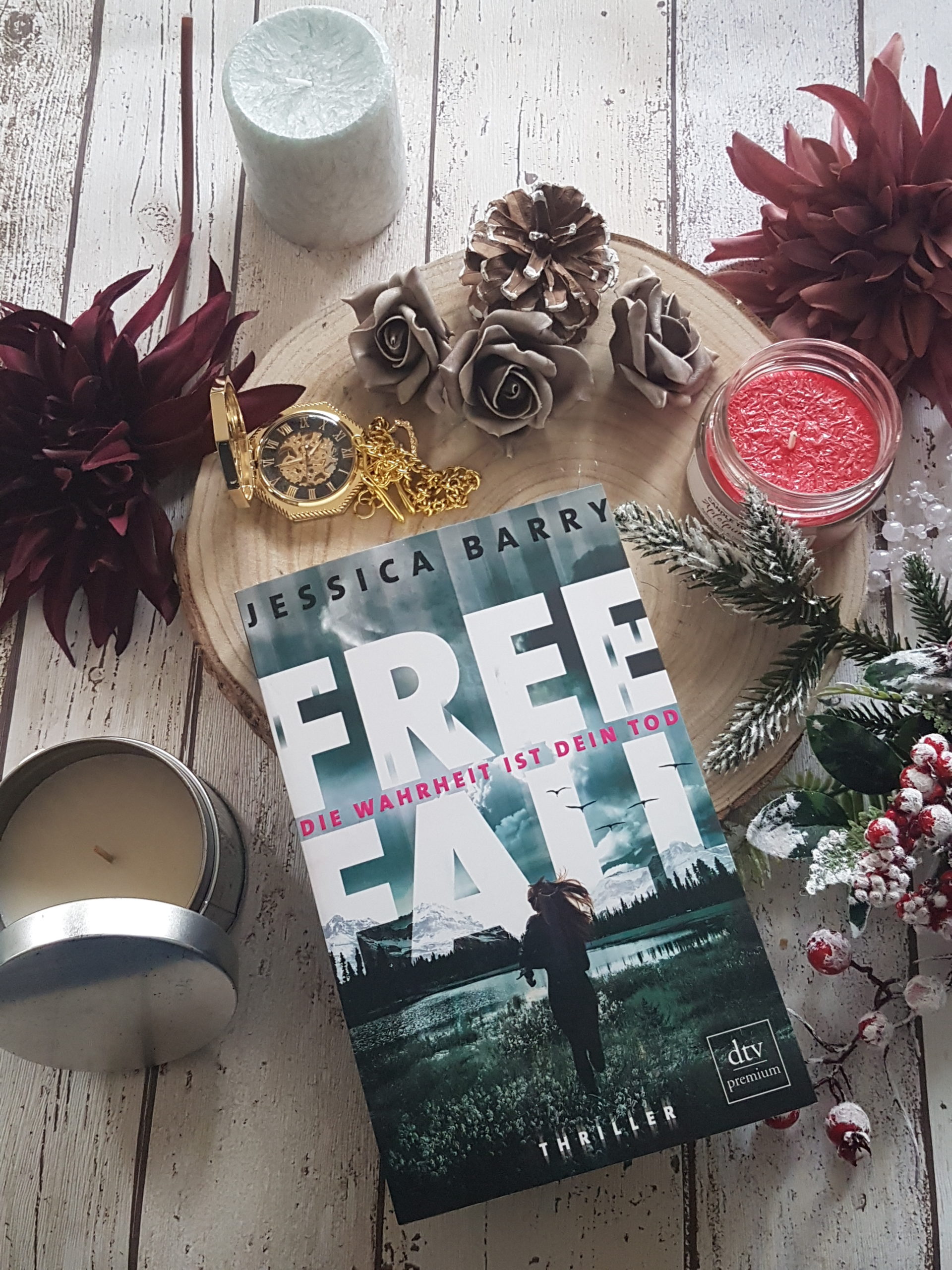 Mehr Familiendrama als Thriller – Freefall von Jessica Barry