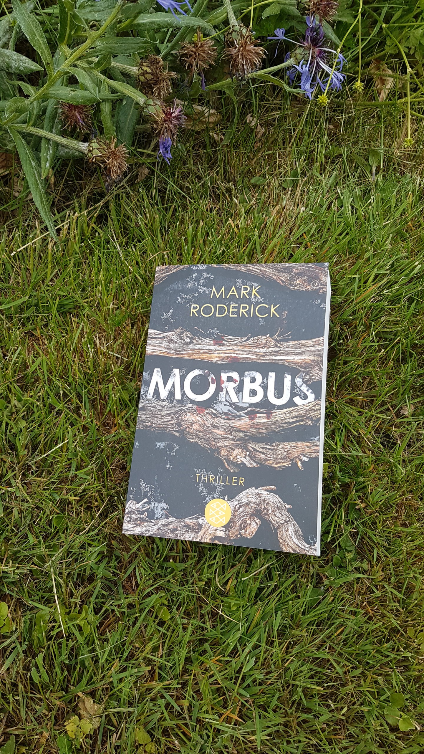 Ruhiger Beginn, aber dann wird es richtig spannend – Morbus von Mark ...